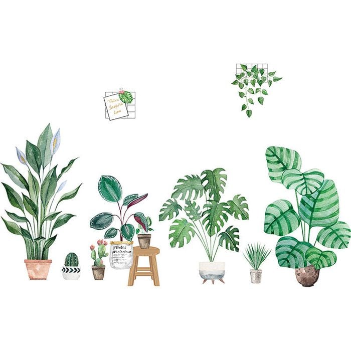 Allwallstickers Medium Multicolour Potted Plants Wall decal - Bunnings ...