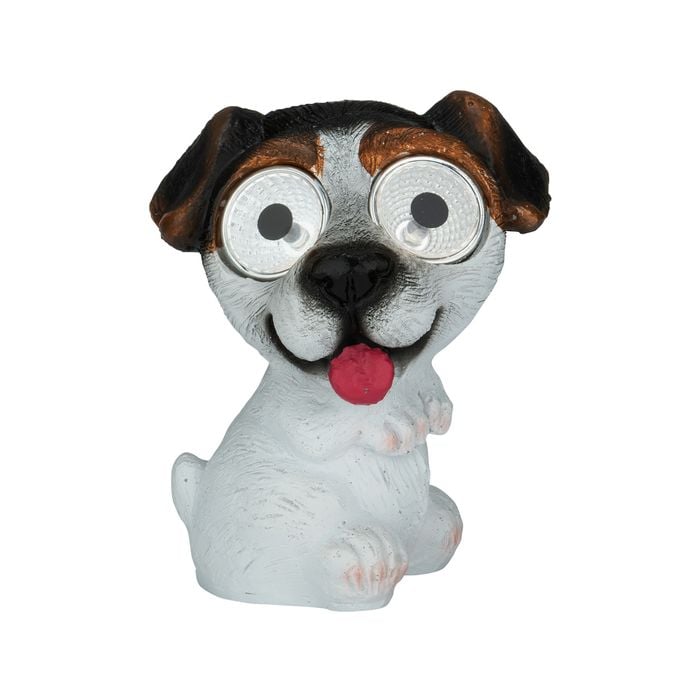 Arlec Solar Powered Dog Light - Bunnings New Zealand