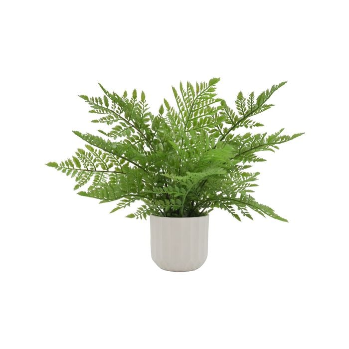 Artificial Plant - Rabbits Foot Fern - 35cm - Bunnings Australia