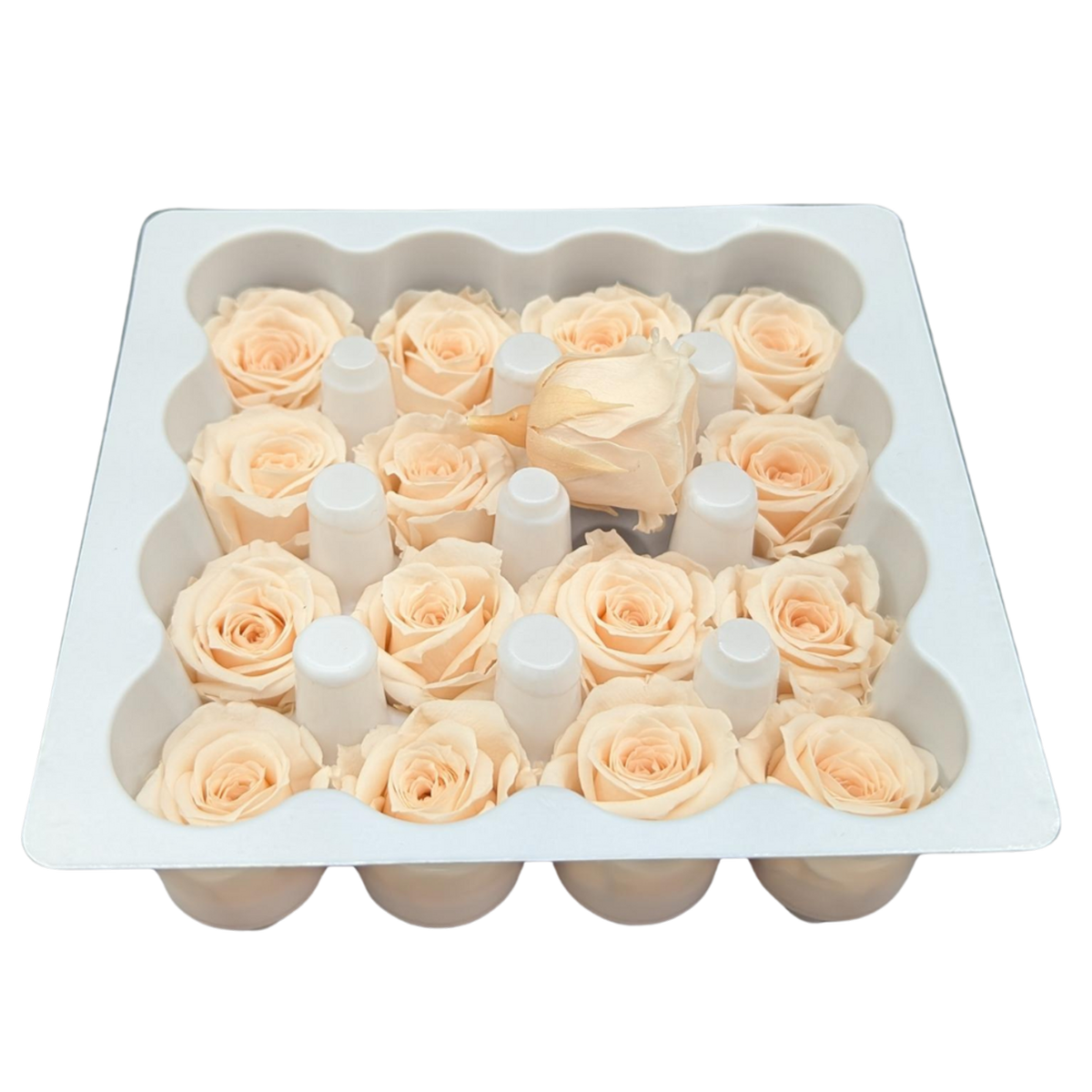 Blooms of Joy 2.5cm Cream Spray Roses 16 Pack - Bunnings Australia