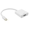 Antsig 15cm USB-C To HDMI Adapter - Bunnings New Zealand