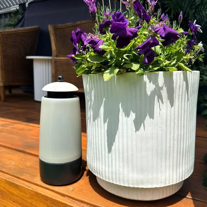 EnviroSafe Alfresco Fly Trap - Bunnings Australia