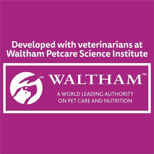 Whiskas 85g Chicken Mixed Favourites In Jelly Cat Wet Food - 18 Pouches ...