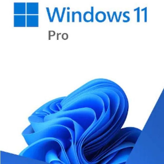 Microsoft Windows 11 Professional Retail 64-bit USB Flash Drive ...