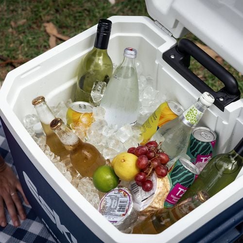 Esky 52L Wheeled Hard Cooler - Bunnings Australia