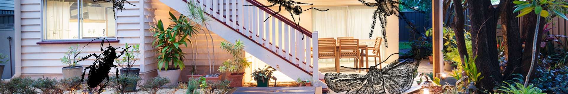 Hovex Pest Control Solutions - Bunnings Australia