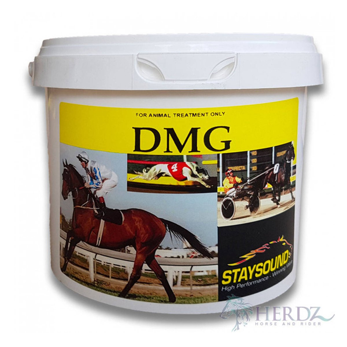 Staysound DMG Energy Booster & Recovery Horse Supplement 3kg - Bunnings Australia