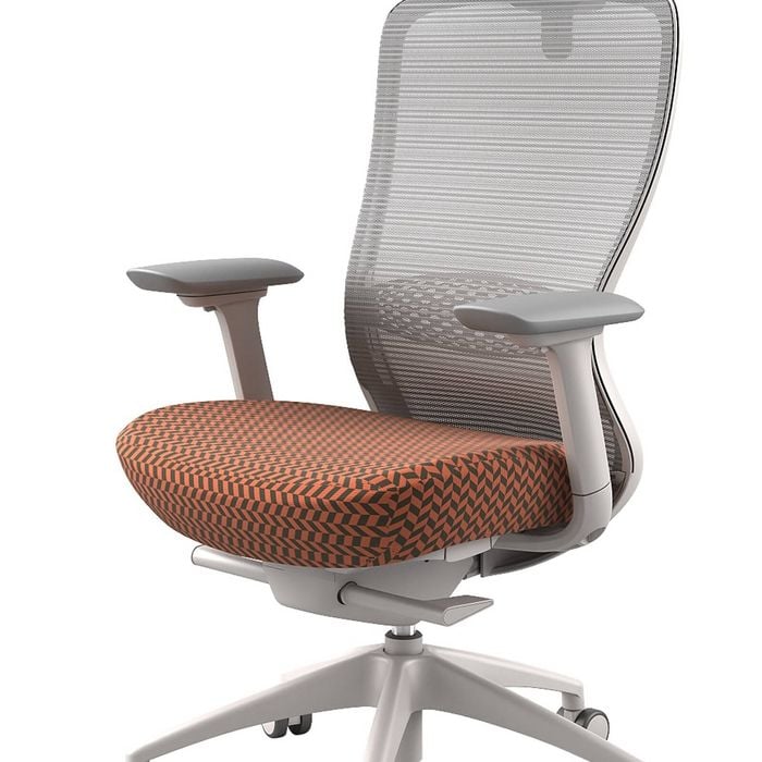 UFOU VX Ergonomic Office Chair Mesh Work Computer Gaming Designer Lion ...