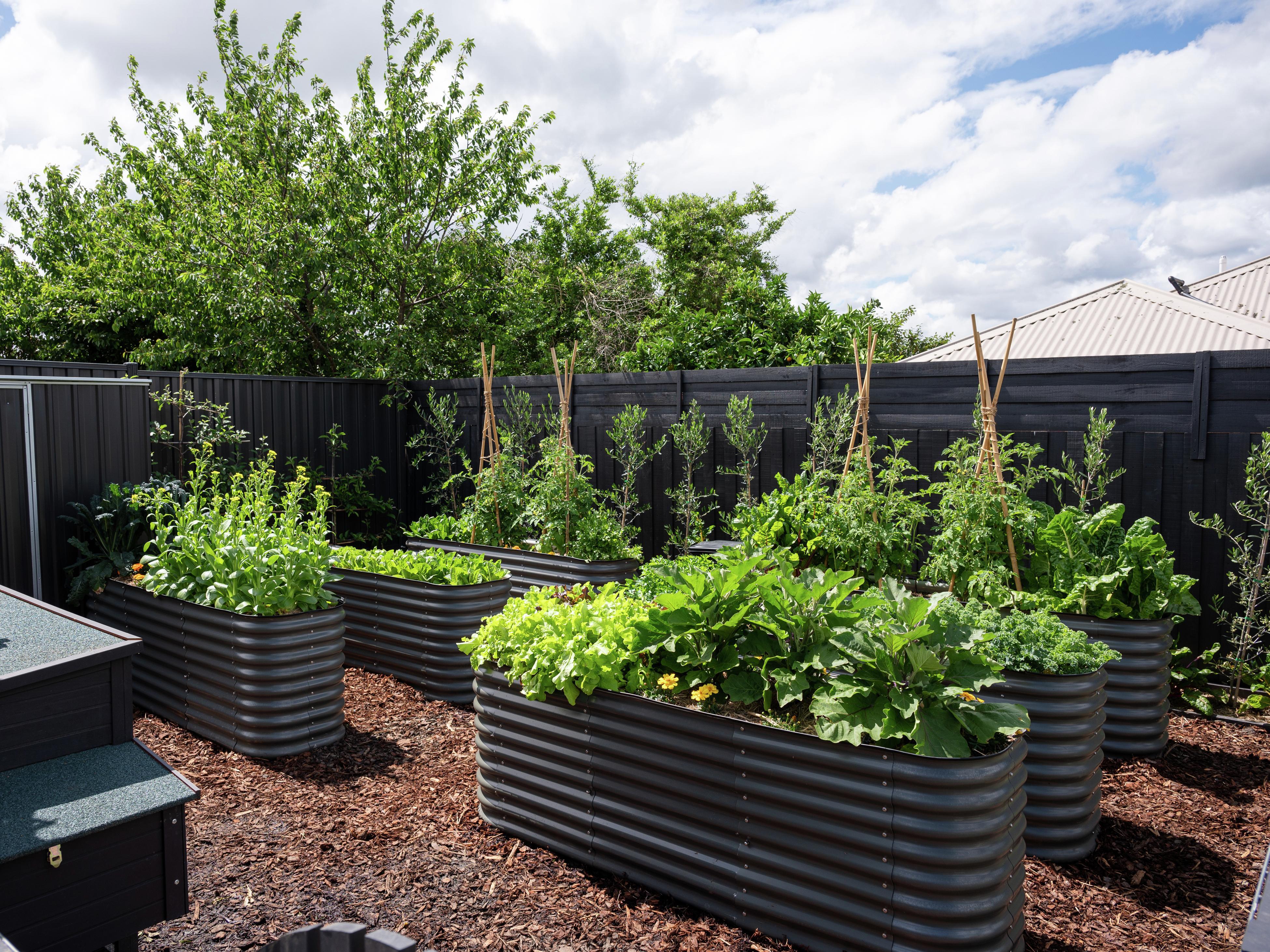 How To Plan Your Produce Garden Bunnings Australia