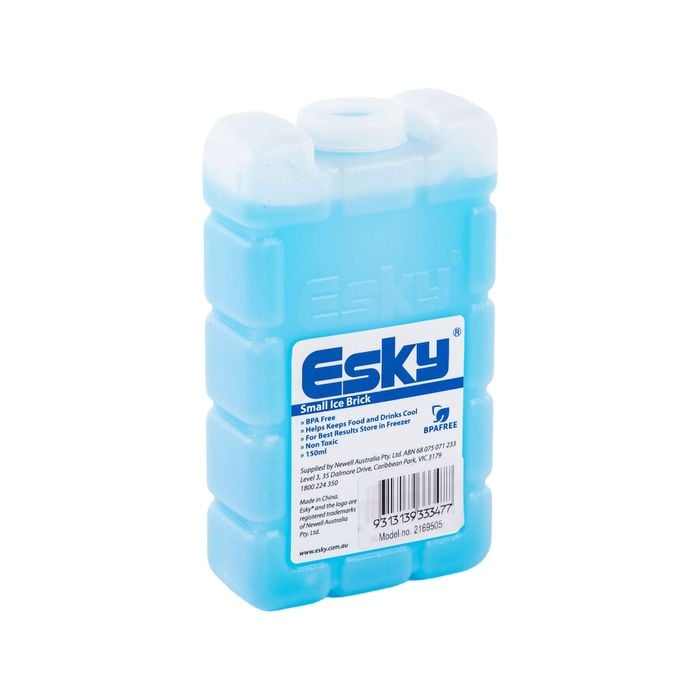 Esky Small Ice Brick - Bunnings Australia