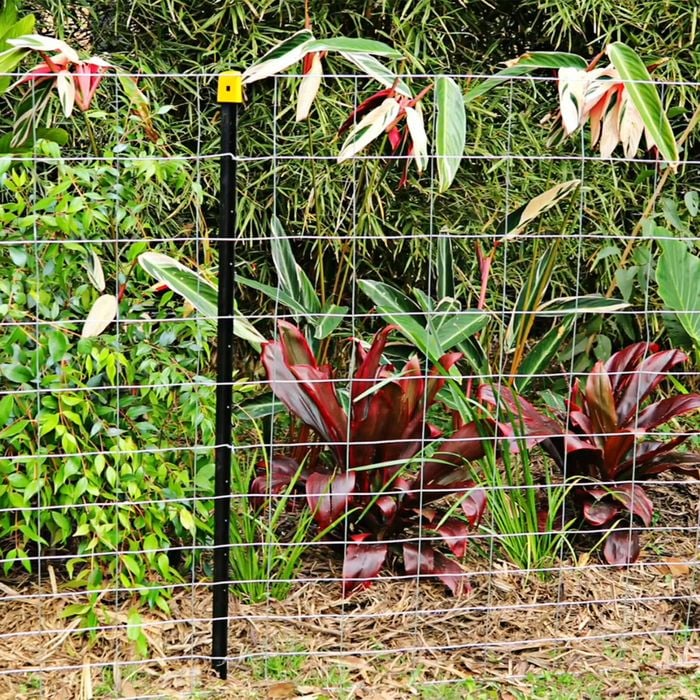 Saxon 170cm Black T Steel Fence Post - Bunnings New Zealand