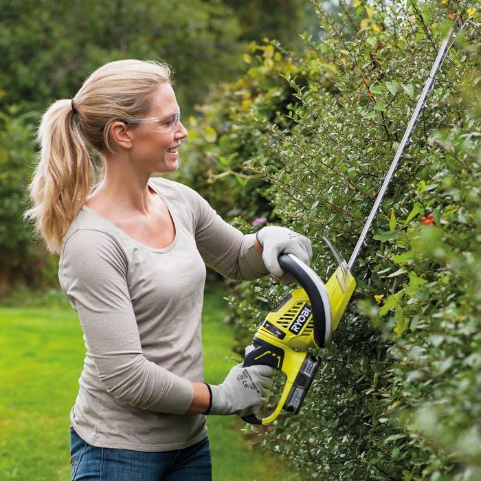 Hedge trimmer ryobi 18v store