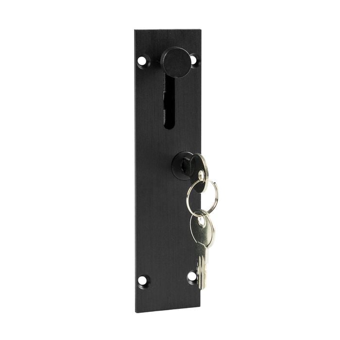 Delf Lockable 150mm Door Drop Bolt Matte Black - Bunnings Australia
