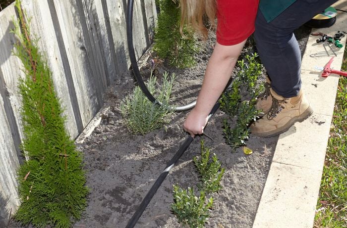 Installing Irrigation Sprayers And Drippers - Bunnings Australia