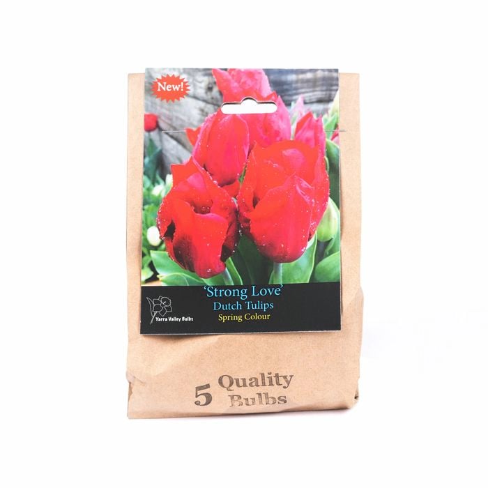 Yarra Valley Bulbs Tulip Strong Love - 5 Pack - Bunnings Australia