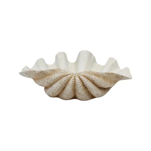 Decorative 53cm Resin Clam Shell/Trinket Decor XL - White/Beige ...
