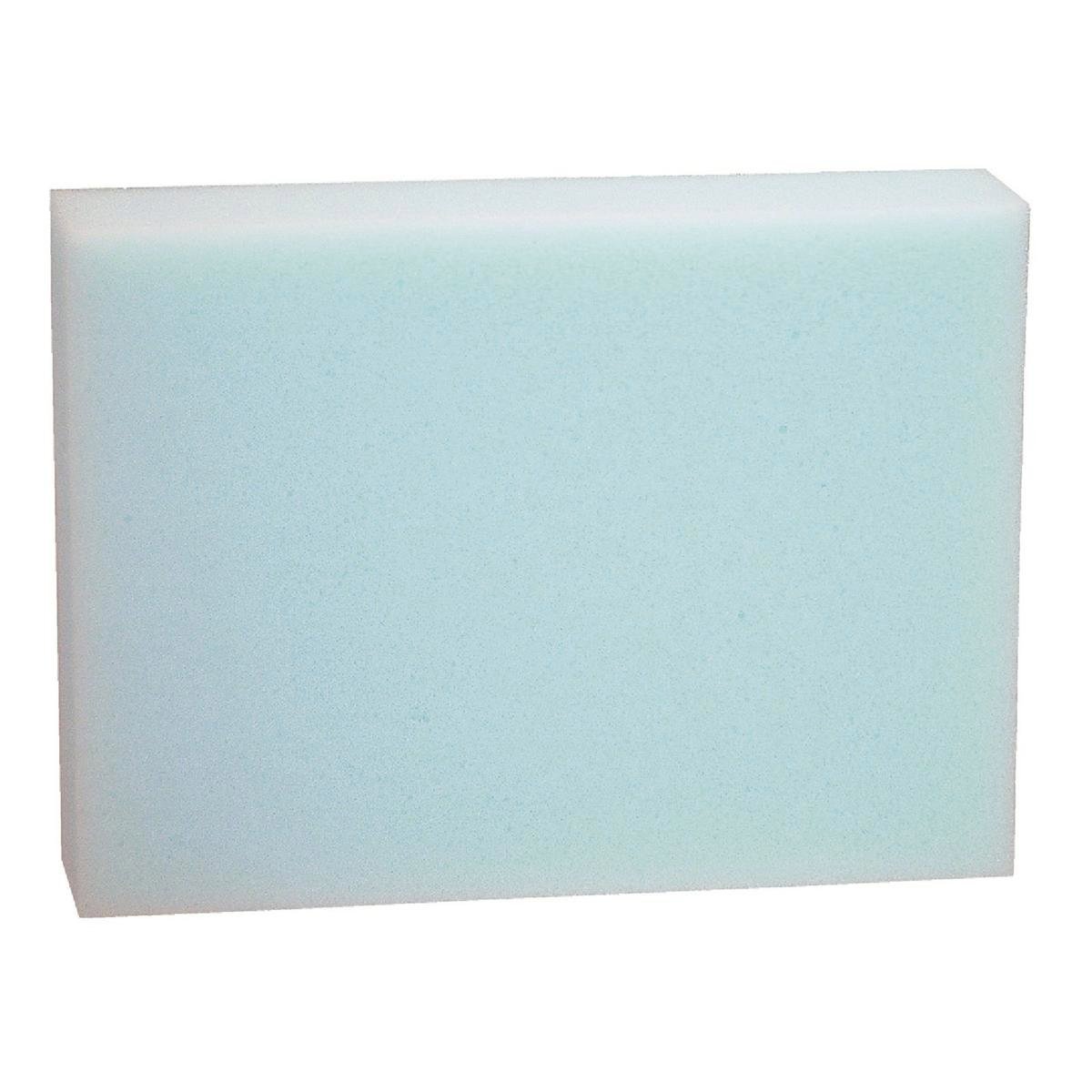 DTA Tile Sponge - Bunnings Australia