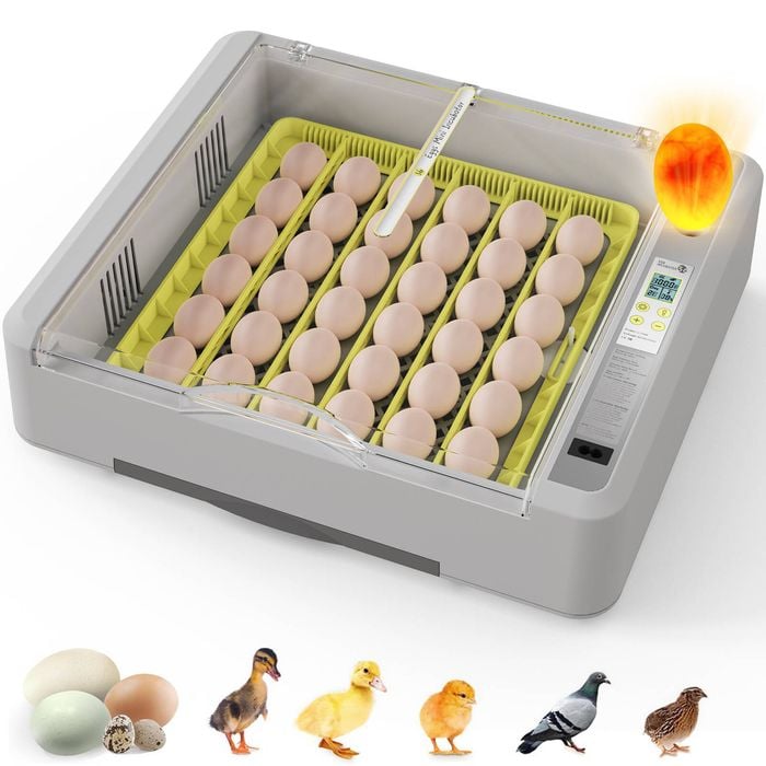 Advwin Automatic 36 Egg Incubator with LED Egg Candle - Bunnings Australia