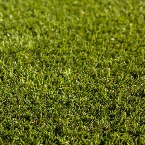 Tuff Turf 1.8m x 25mm Pile K9 Tuff Synthetic Turf - Lineal Metre ...