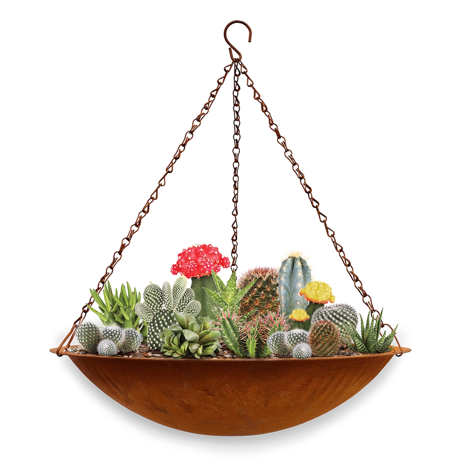 Bunnings hanging baskets store