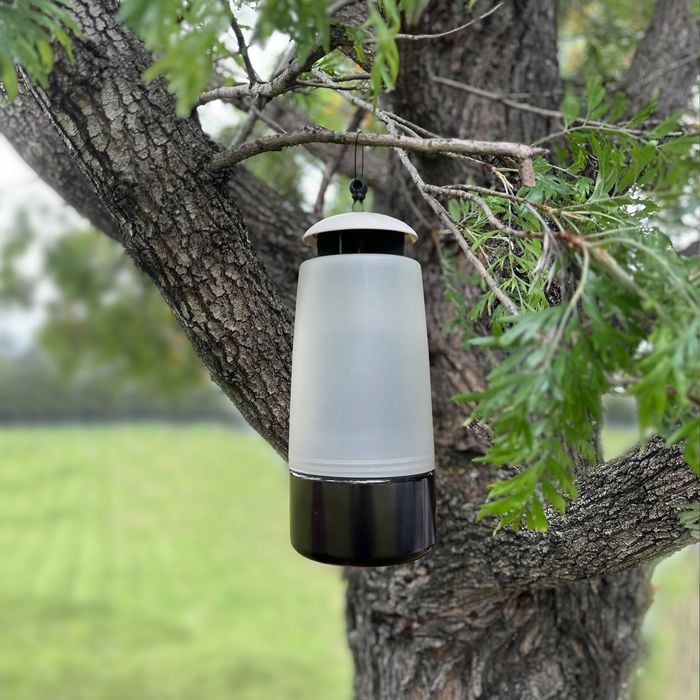 EnviroSafe Alfresco Fly Trap - Bunnings Australia