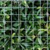 RapidMesh 1800 x 900mm Silver Framed Wire Mesh Panel - Bunnings Australia