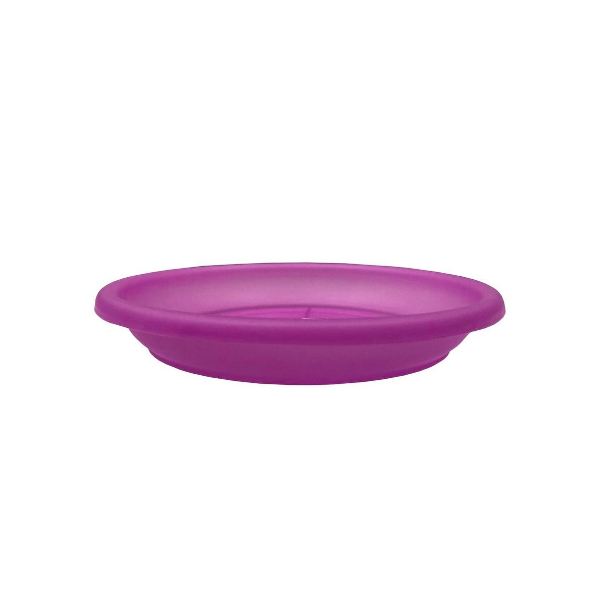 Eden 22cm Purple Transparent Saucer - Bunnings Australia