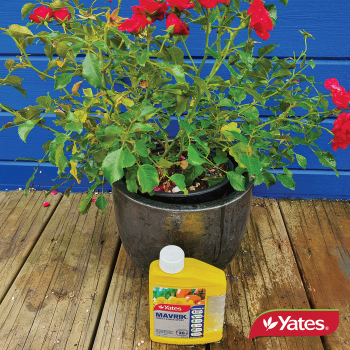 Yates 200ml Mavrik Insect Spray - Bunnings New Zealand