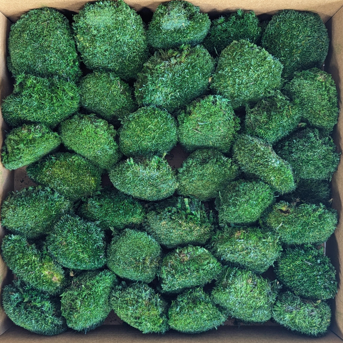 Blooms of Joy 700g Nature Green Ball Moss Mini - Bunnings Australia
