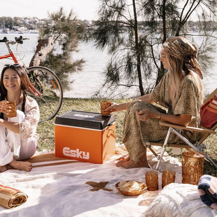 Esky 27L Orange Retro Hard Cooler - Bunnings Australia
