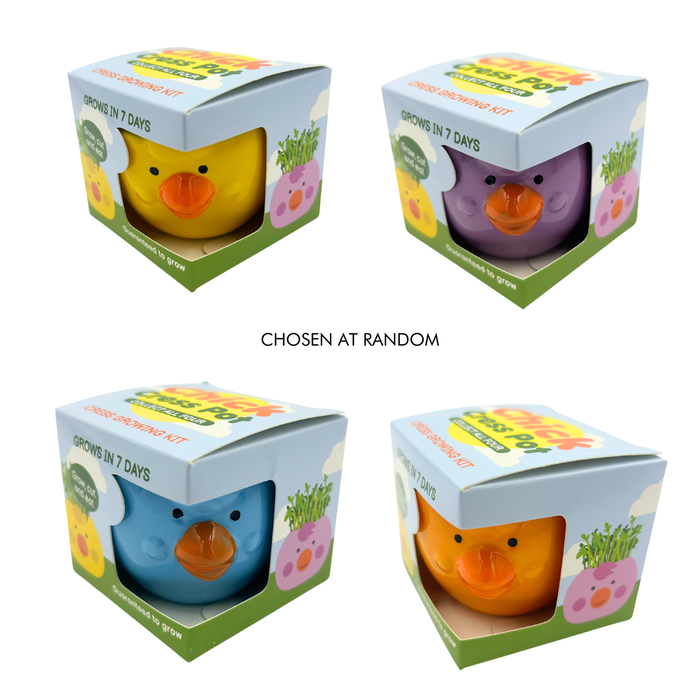 Mr Fothergill's Cress Chick Grow Kit Assorted Colours - Bunnings Australia