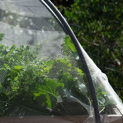 Backyard Farmer 2.5 x 2.5m x 5mm Anti Bird Net - Bunnings Australia