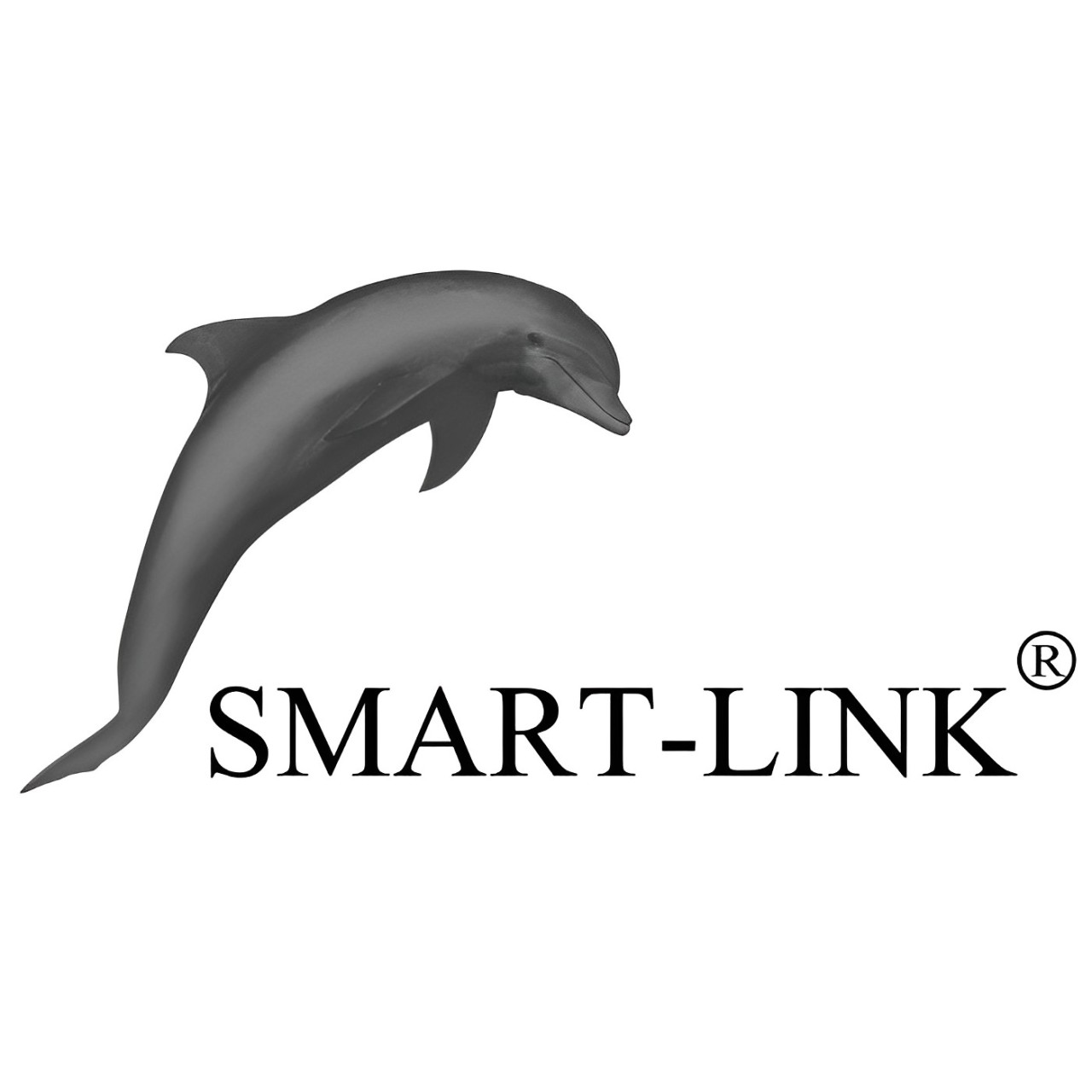 Smart Link - Bunnings Australia