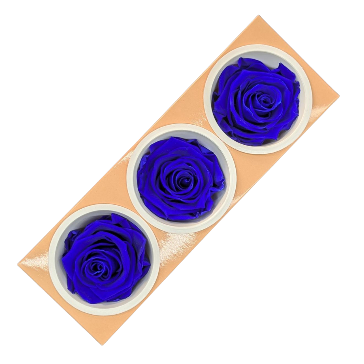 Blooms of Joy 6cm Sapphire Blue Preserved Rose 3 Pack - Bunnings Australia