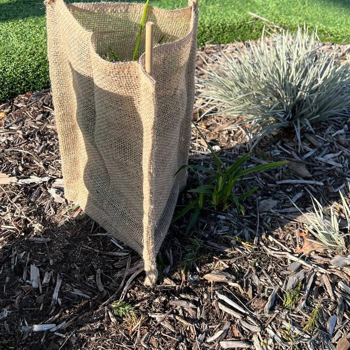 Pillar 30 x 45cm Natural Hessian Tree Guard Sleeve - 3 Pack - Bunnings ...