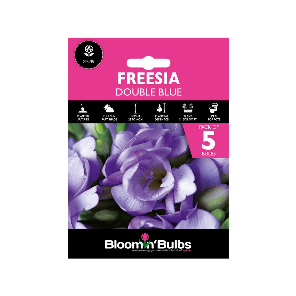 Freesia Double Blue - Bulb Spring Pink - 5 Pack - Bunnings Australia