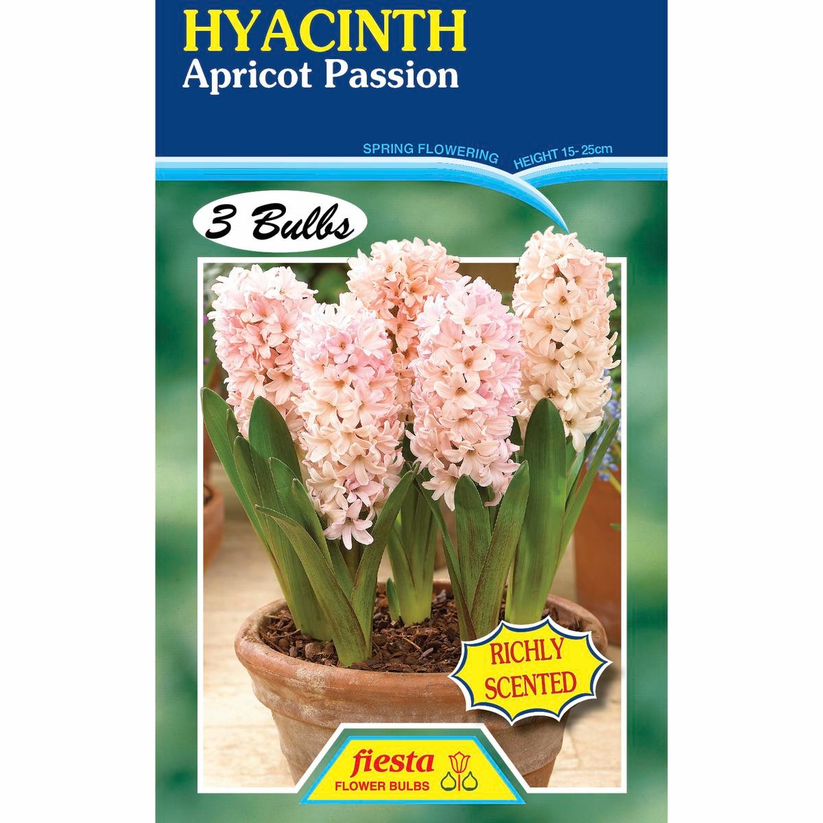 Hyacinth Apricot Passion - 3 Bulbs - Bunnings New Zealand