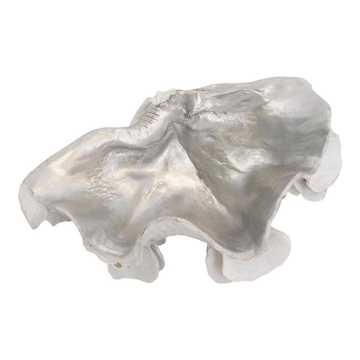 LVD Decorative 23.5cm Resin Clam Shell/Trinket Medium - White/Silver ...