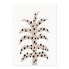Spotty Palm A1 Poster Print - Bunnings Australia