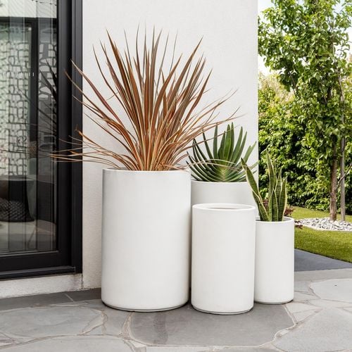 Tuscan Path 42cm White Harper Cylinder Pot - Bunnings New Zealand