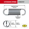 Century Spring Corp 21 x 101.6 x 3mm Extension Spring - 2 Pack ...
