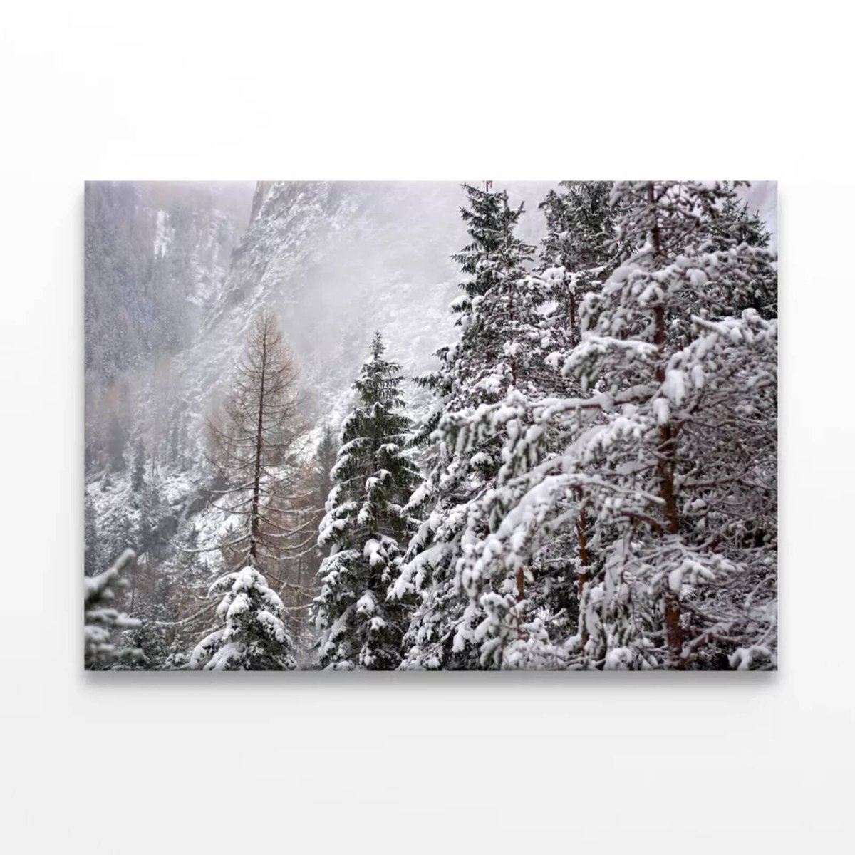 The First Big Snowfall of winter Print 100% Australian Made 90 x 60cm ...