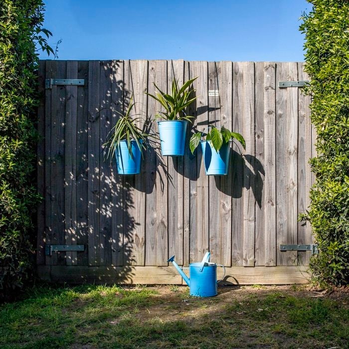 White Knight 1L Accent Satin Rust Guard Quick Dry Advanced Enamel Paint ...