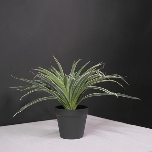 UN-REAL 30cm Artificial Spider Plant - Bunnings New Zealand