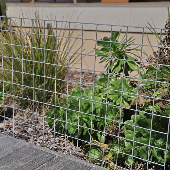 RapidMesh 600 x 1200mm 50 x 50mm Silver Wire Mesh Panel - Bunnings ...