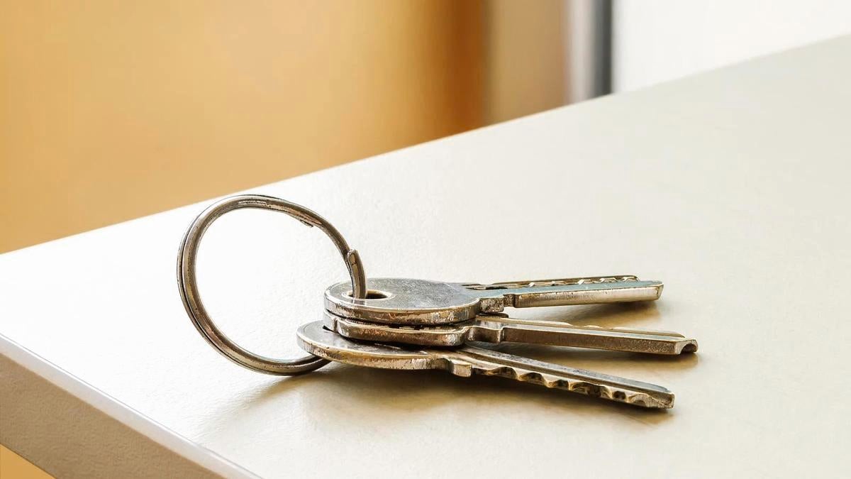 Key Cutting Service - Bunnings Australia