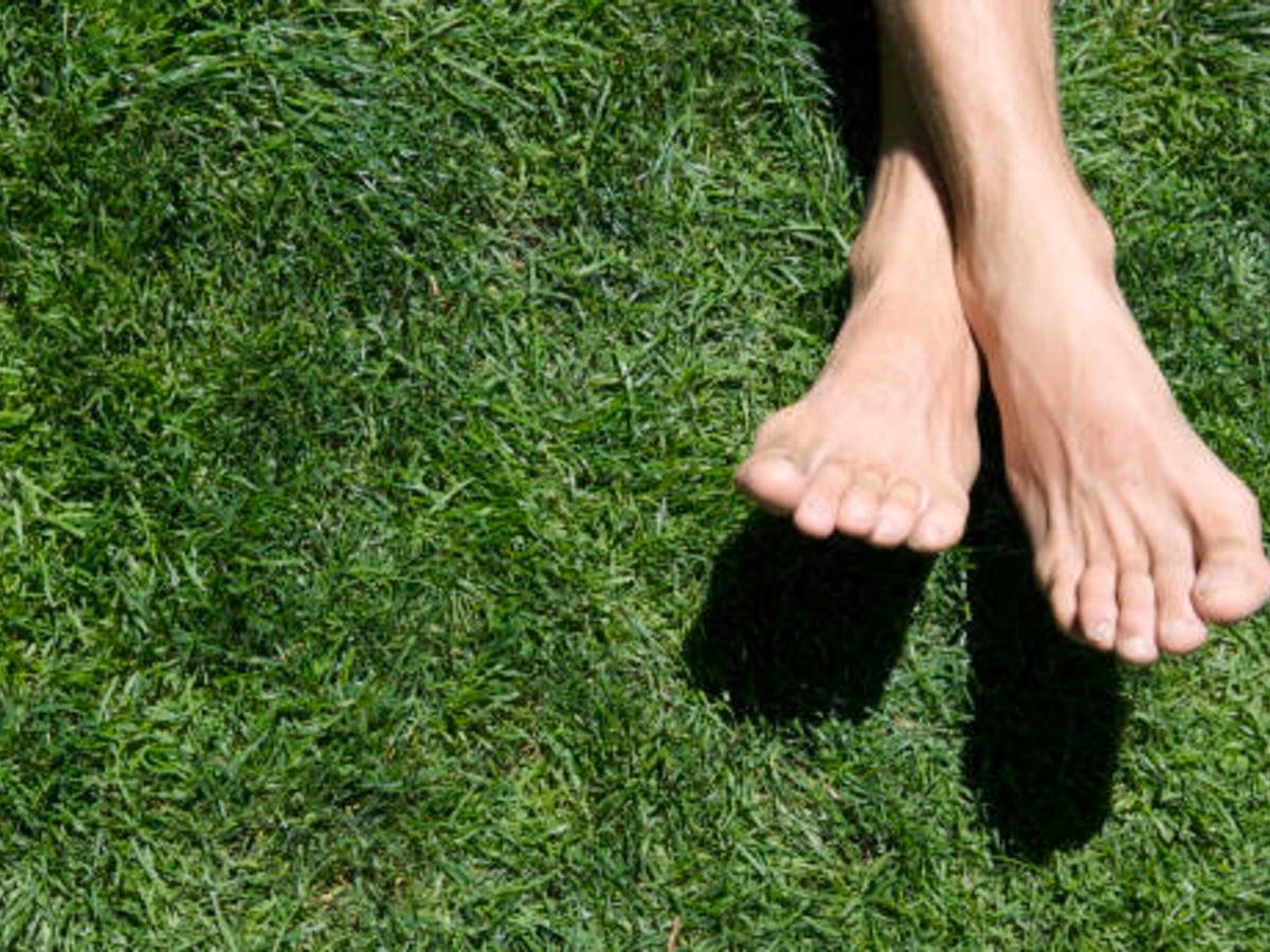 Get A Lush Spring Lawn With Yates Weed n Feed - Bunnings Australia