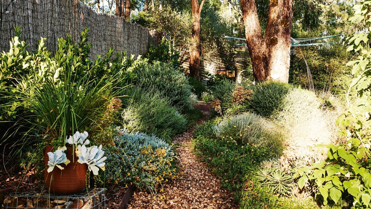 How To Work With A Sloping Garden - Bunnings Australia