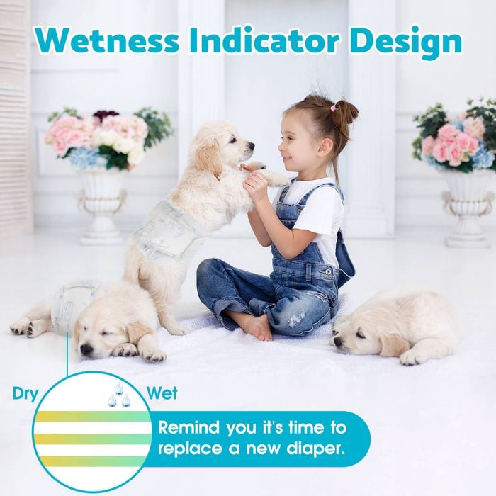 Advwin Dog Diapers Male Disposable Pet Dog Wraps Male Super Absorbent ...