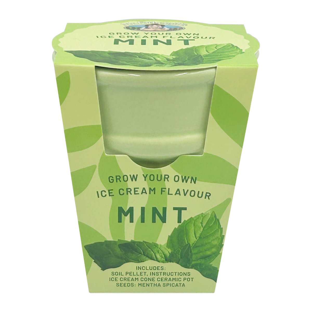 Mr Fothergill’s Spearmint Ice Cream Flavour Grow Kit - Bunnings Australia
